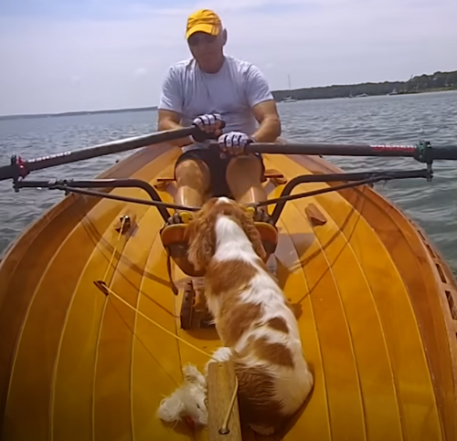 Just Released: Jimmy Buffett's Heartwarming 'Like My Dog' Video From ...