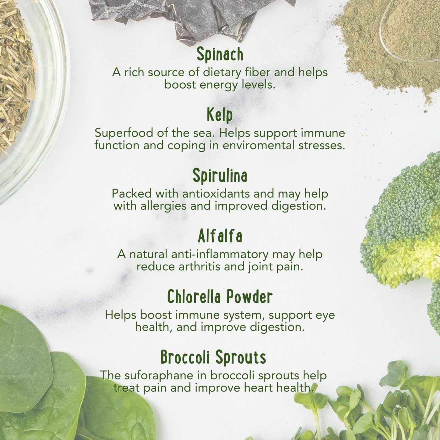 Super-Greens: Vitamin, Mineral & Probiotic Supplement for Dogs with ...