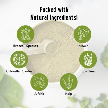 Super-Greens: Vitamin, Mineral & Probiotic Supplement for Dogs with ...