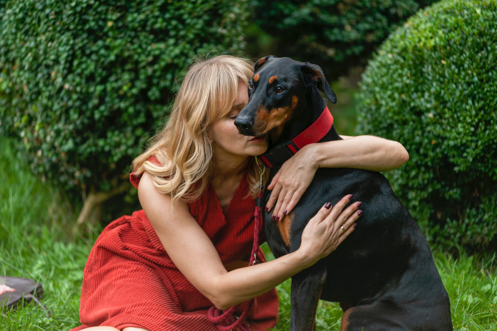 If You're a Scorpio, Here's The Best 10 Dog Breeds For You - iHeartDogs.com
