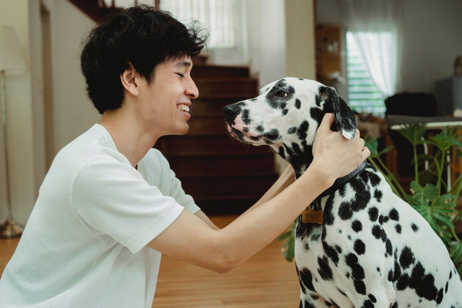 If You're a Sagittarius, Here's The Best 10 Dog Breeds For You ...