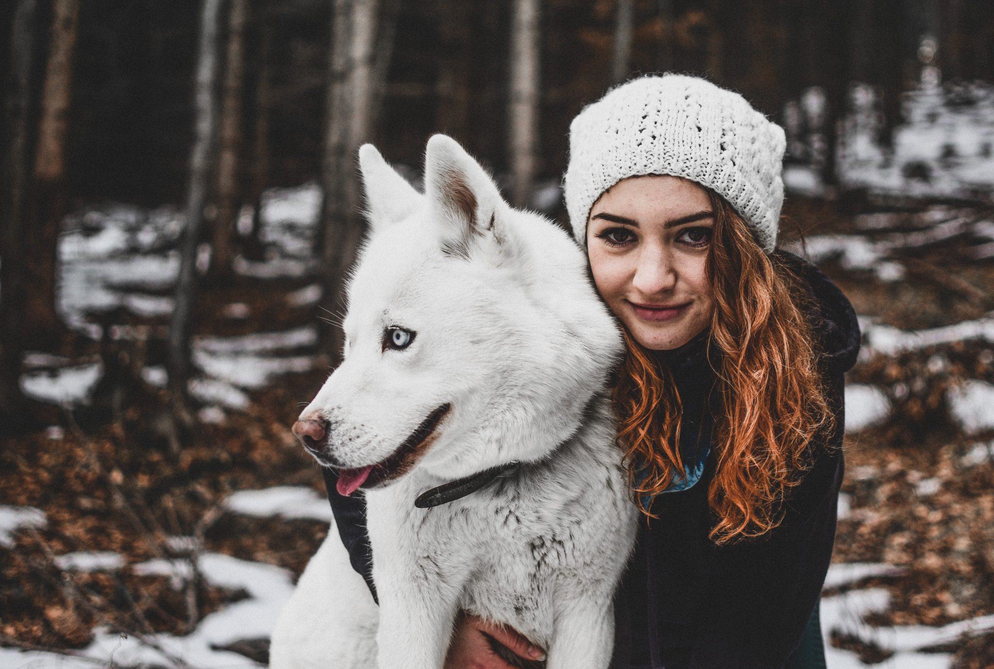 If You're a Sagittarius, Here's The Best 10 Dog Breeds For You ...