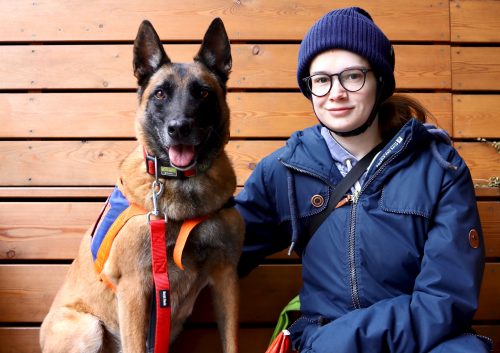 10 Dog Breeds Known for Their Strong Bonding with One Person ...
