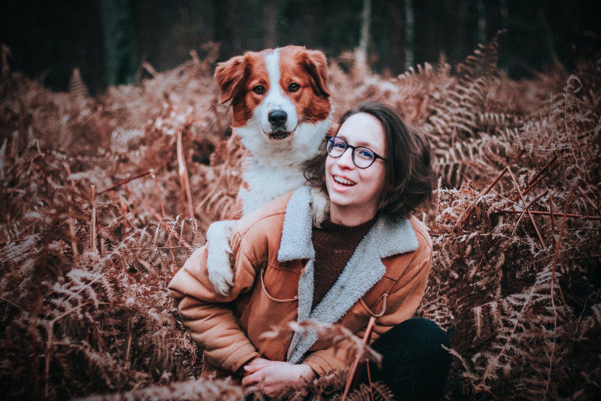 If You're a Sagittarius, Here's The Best 10 Dog Breeds For You ...