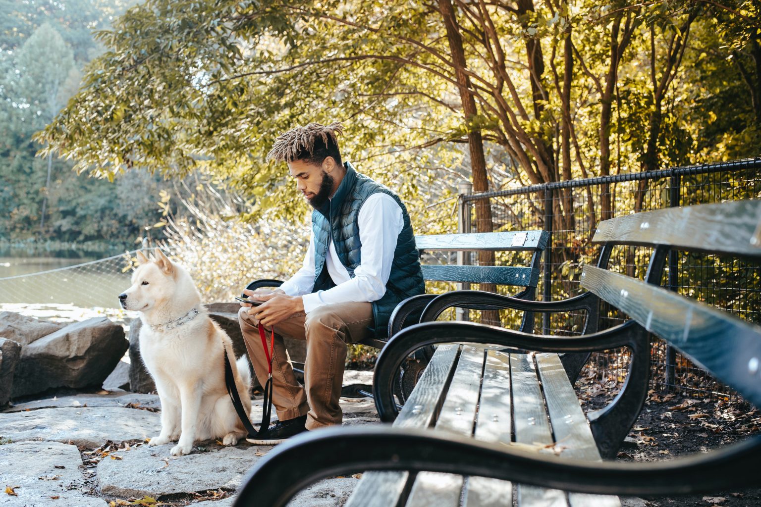 If You're a Scorpio, Here's The Best 10 Dog Breeds For You - iHeartDogs.com