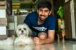 8 Dog Breeds That Are Known for Their Gentle Spirit and Kindness ...