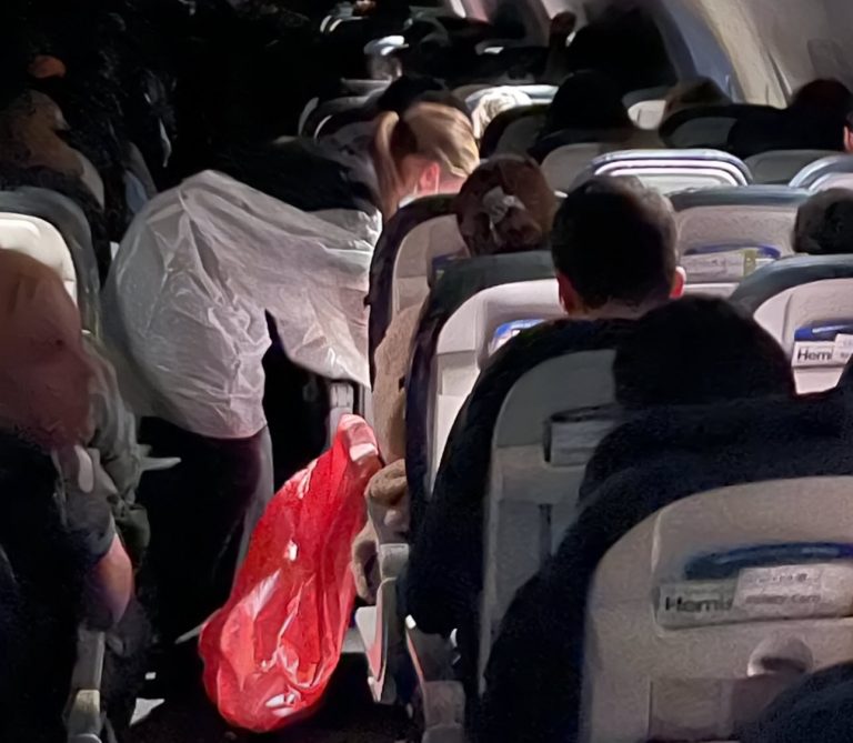 'Sh** Happens', Dog Poops Mid-Flight And Causes Chaos With Passengers ...