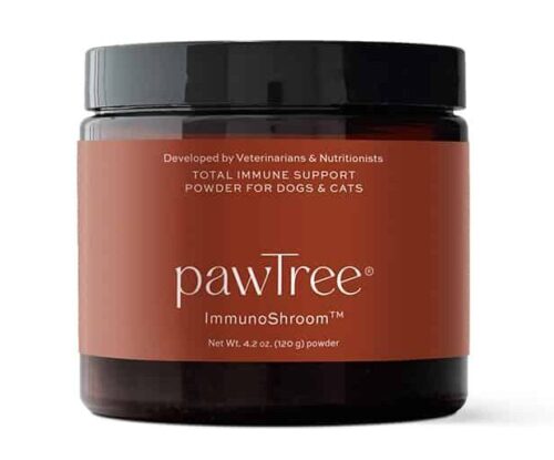 11 Best Mushroom Supplements For Dogs