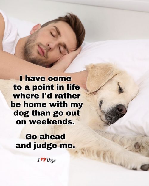 19 Quotes about Dogs That Will Make You Laugh, Cry, & Reminisce ...