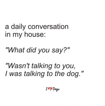19 Quotes about Dogs That Will Make You Laugh, Cry, & Reminisce ...