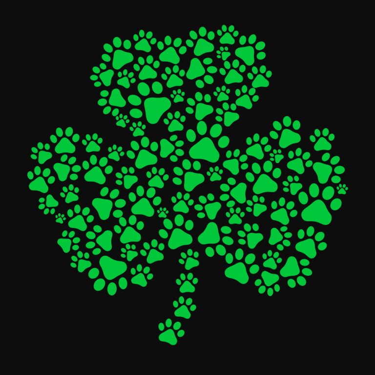 Dog Paws Shamrock Standard Tee Black - iHeartDogs.com