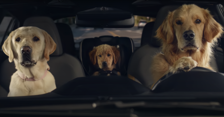 Subaru's Puppy Bowl Commercial 'Resonates' With Parents And Steals The ...