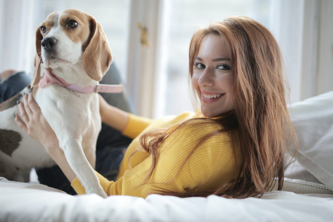 8 Most Affordable Dog Breeds - iHeartDogs.com