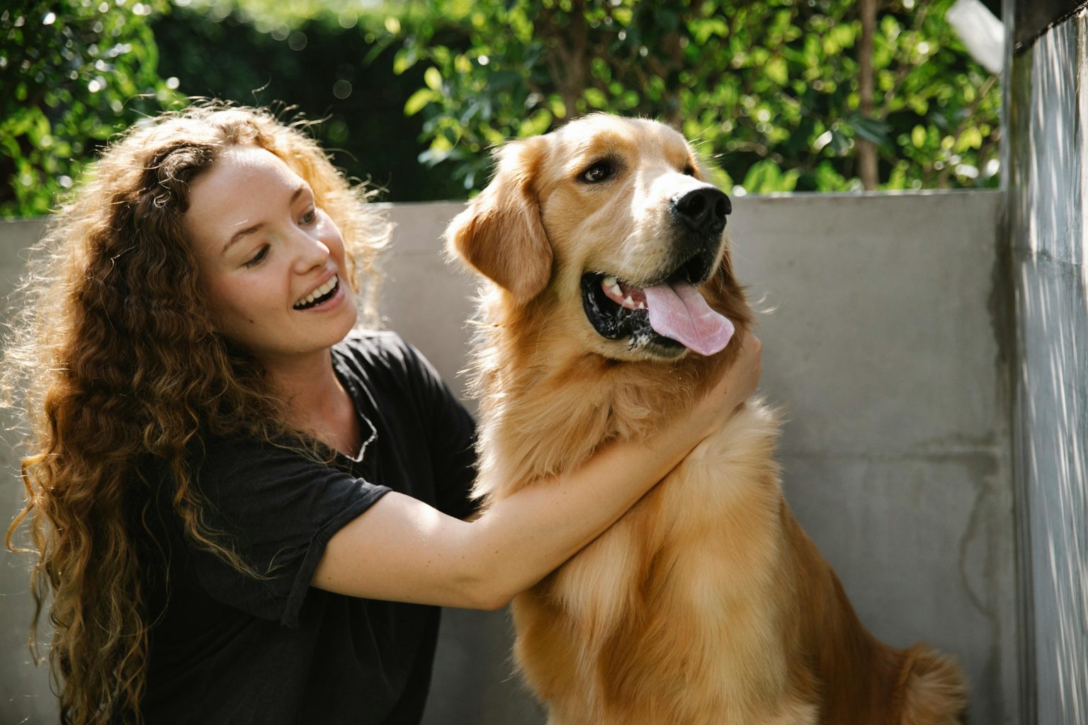 8 Best Dog Breeds for a Single Woman - iHeartDogs.com