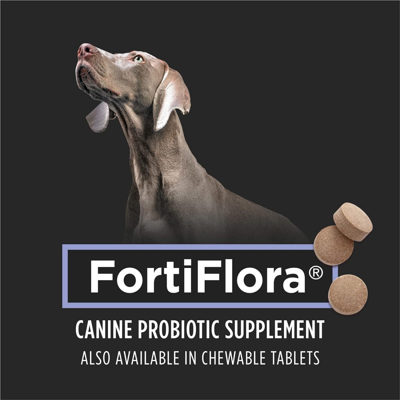Purina Pro Plan FortiFlora Dog Probiotic: Worth the Hype? - iHeartDogs.com