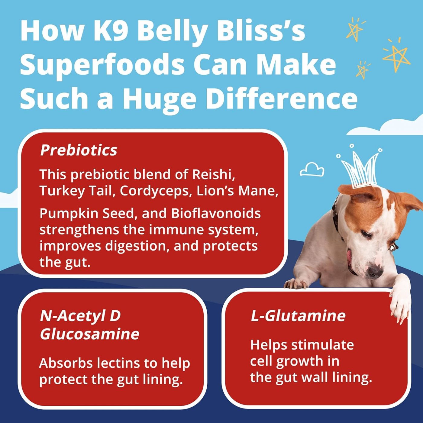 K9 Belly Bliss Daily Digestive Support Review: Is It Worth It? - iHeartDogs.com