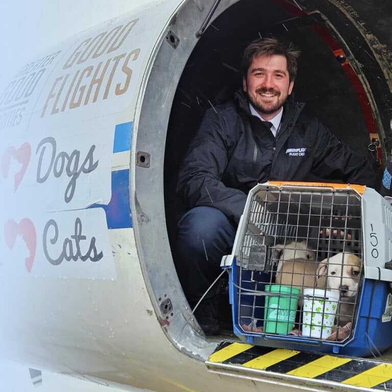 Freedom Flight Rescue Mission – Donate To Help Fund Flights for At-Risk ...
