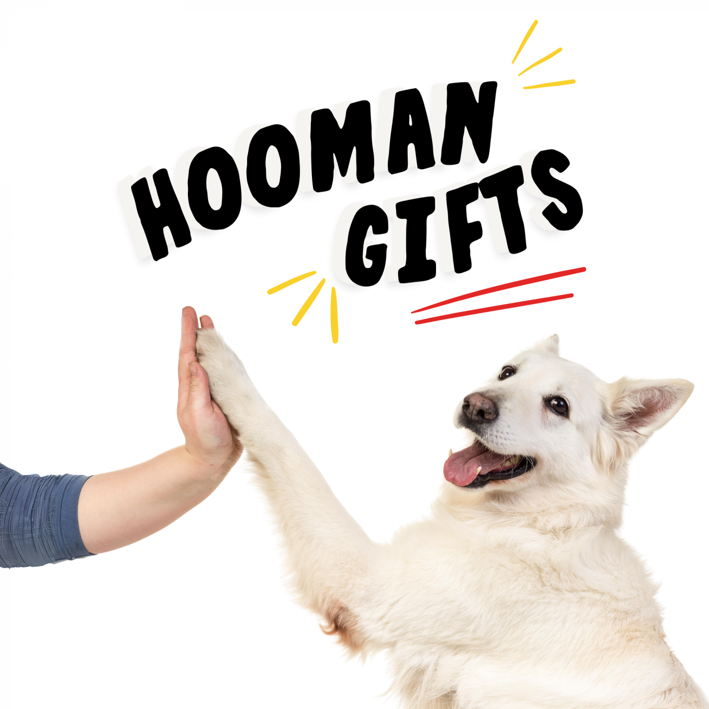 iHeartDogs - Because Every Dog Matters