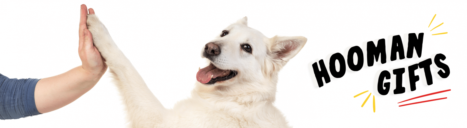 iHeartDogs - Because Every Dog Matters