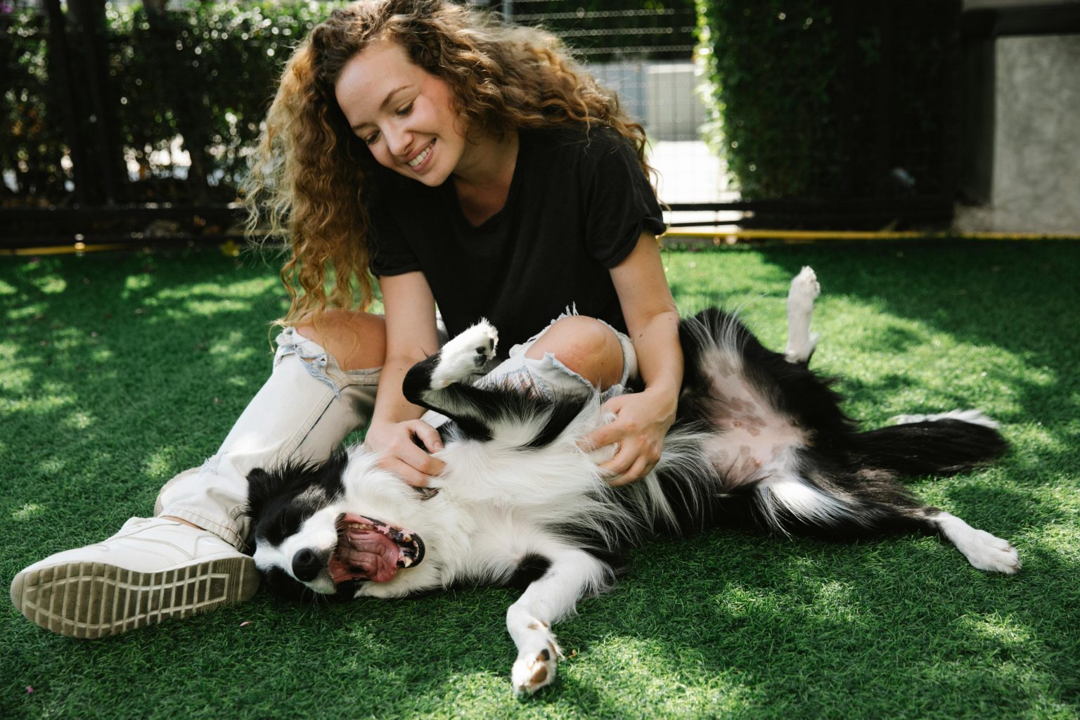 The 12 Dog Breeds That Connect Most Deeply With Humans - iHeartDogs.com