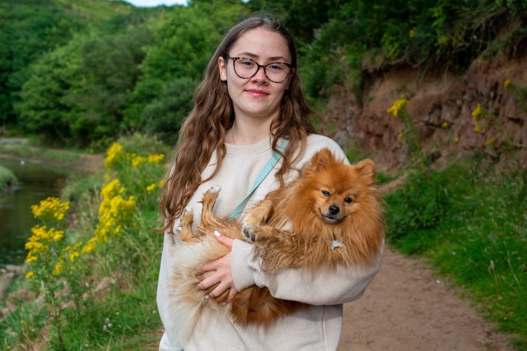 11 Most Charming Dog Breeds - iHeartDogs.com