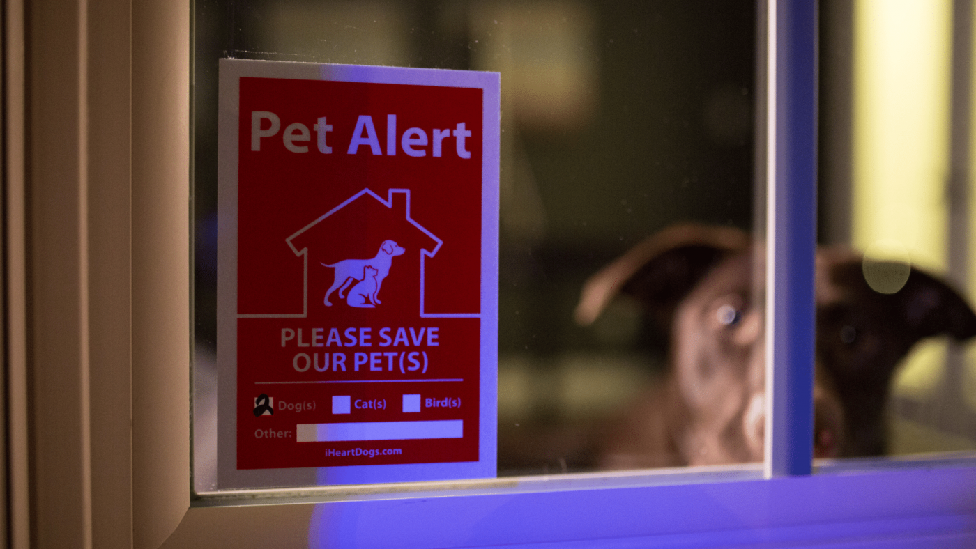 Free Pet Alert Stickers