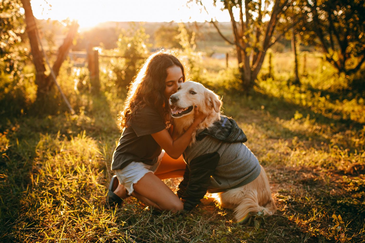 The 15 Most Gentle Dog Breeds On The Planet - iHeartDogs.com