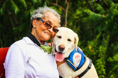The 15 Most Family-Friendly Dog Breeds On The Planet - iHeartDogs.com