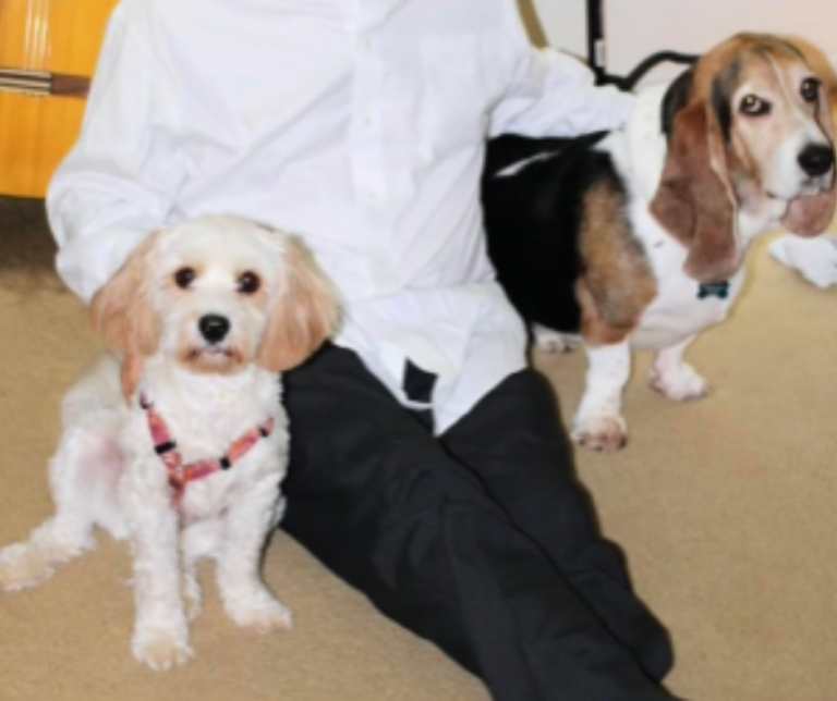 Cherished and Heartfelt Reunion of Senior Dog Errol with His Long-Time ...