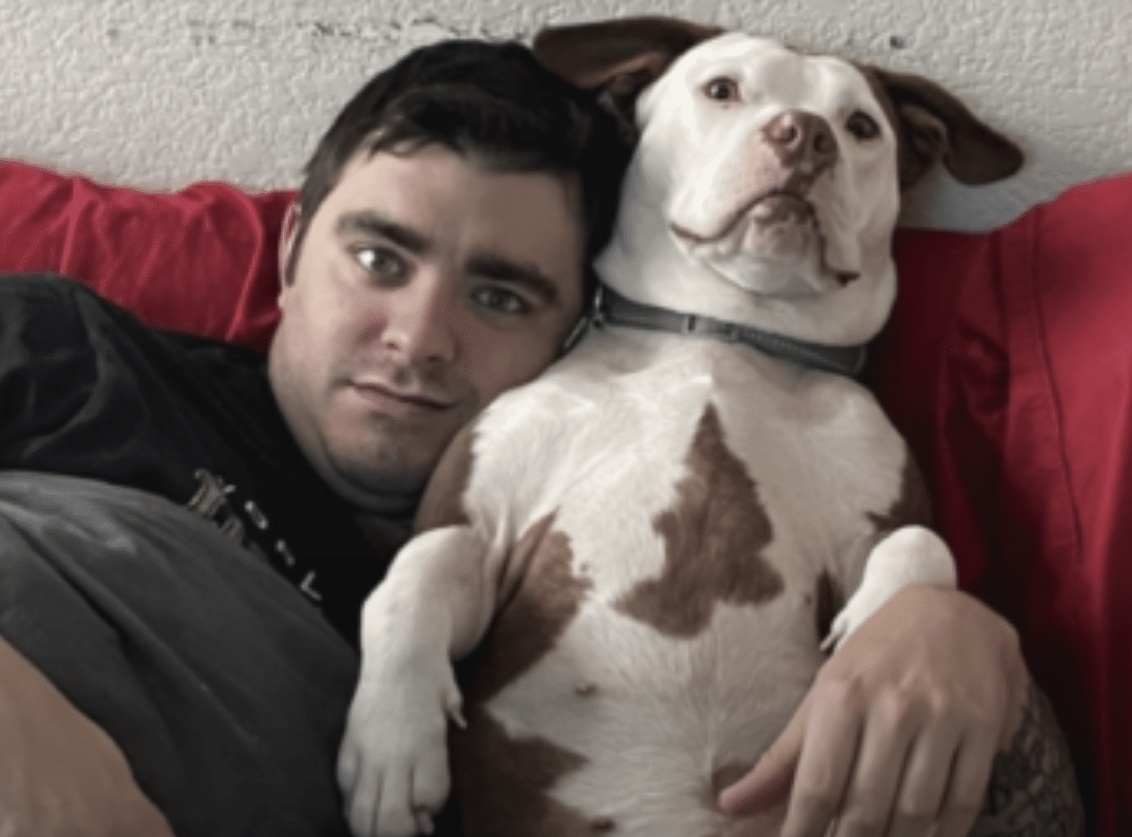 Guy Comes Home To Dog His Wife Snuck Into The House - iHeartDogs.com