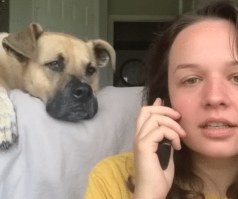 Dog Gets Thrilled as Owner Uses His 'Favorite Words' During Pretend ...