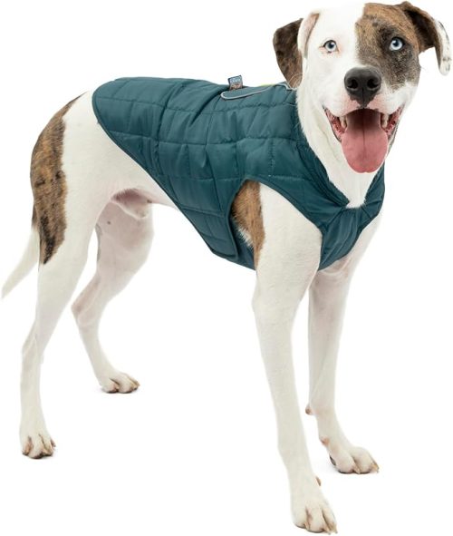The 20 Best Winter Jackets For Dogs & Top Cold Weather Gear ...