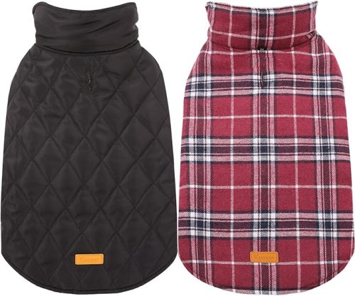 The 20 Best Winter Jackets For Dogs & Top Cold Weather Gear ...