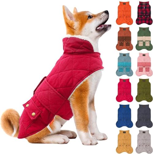 The 19 Best Winter Jackets For Dogs & Top Cold Weather Gear ...