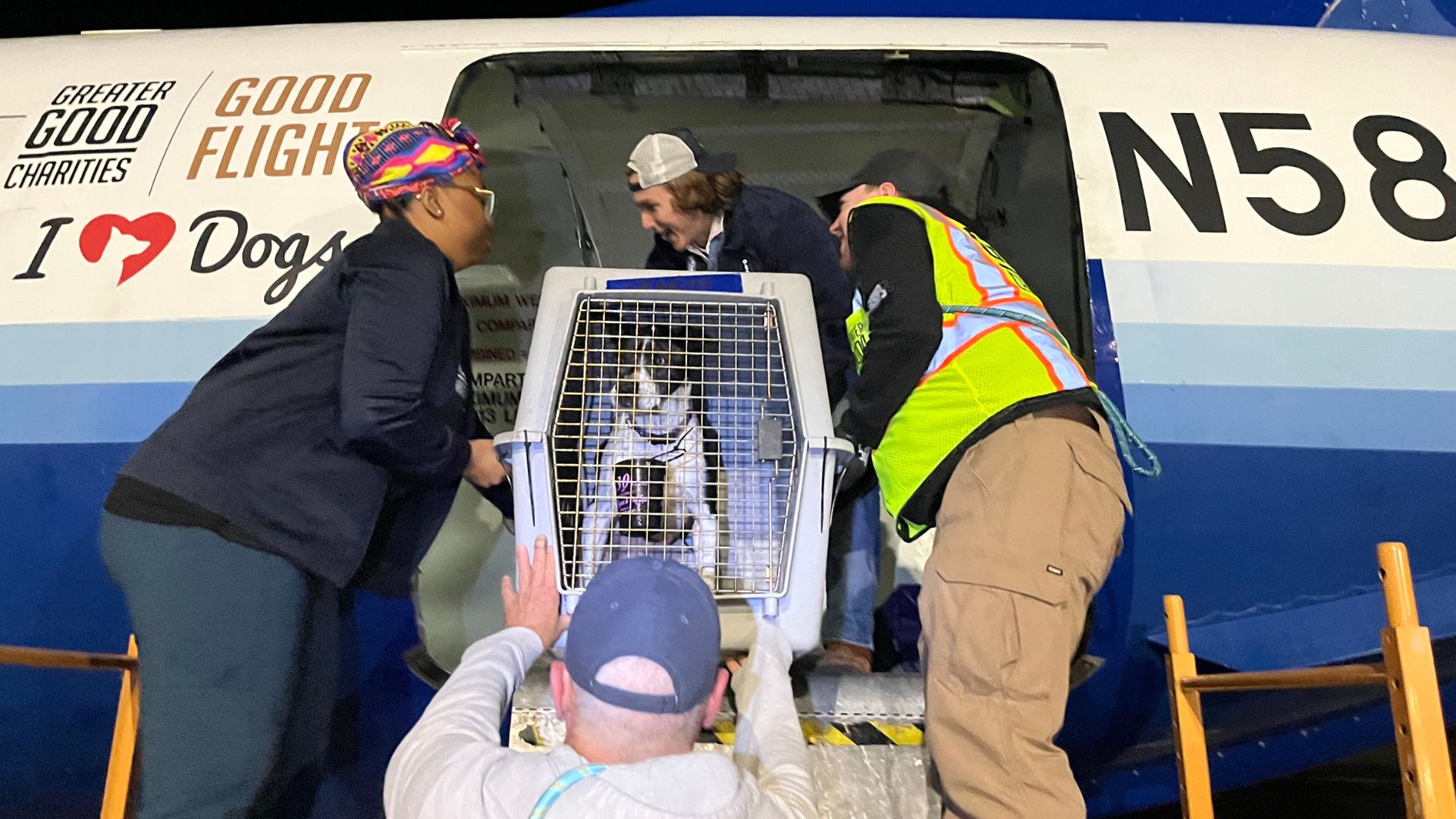 Second Chance Movement™ Rescue Flights - iHeartDogs.com