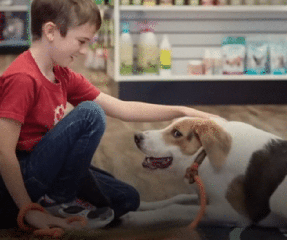 Dog Born Without Neck Proves Love Has No Limits and Finds His Family ...