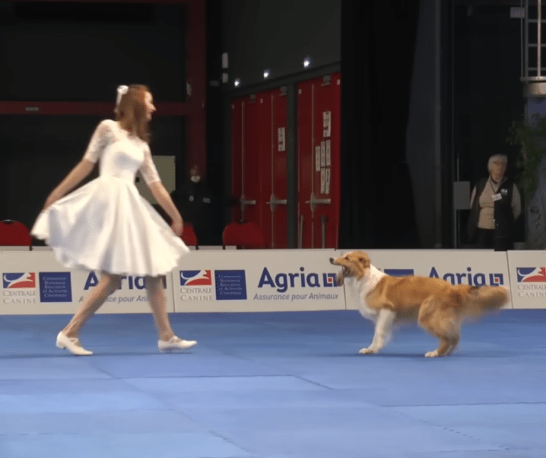 Woman’s Stunning Slow Dance With Dog is the Picture of Grace ...