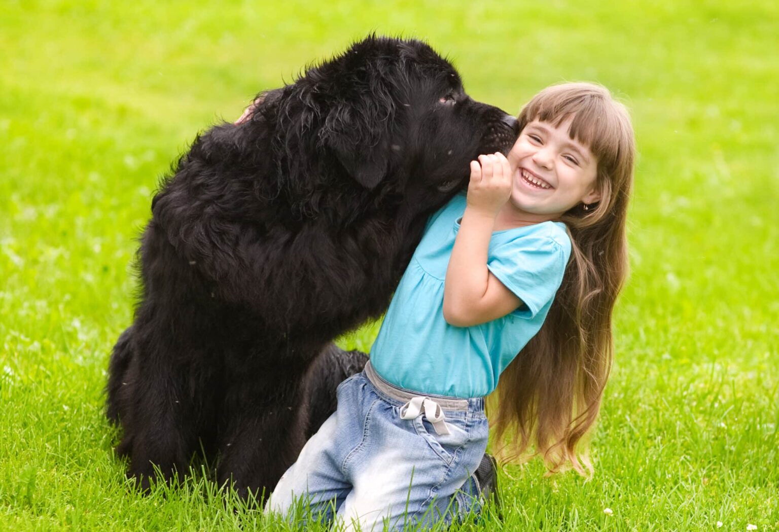 9 Gentle Dog Breeds That Are Perfect for Families - iHeartDogs.com