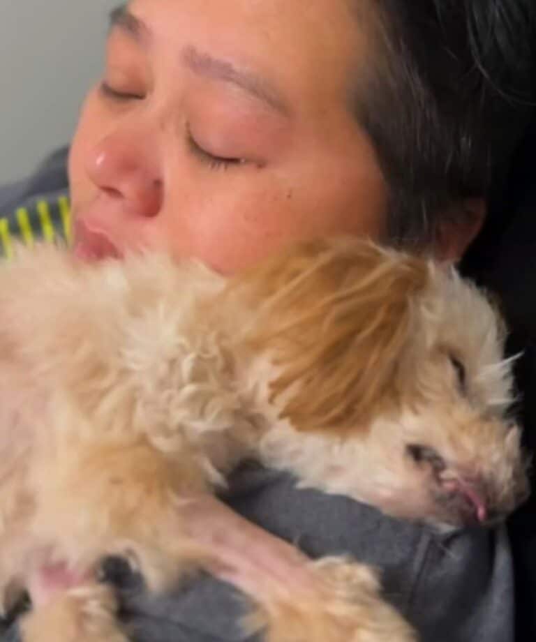 Woman Gives Dying Dog Her Final Hug And She Springs Back To Life ...