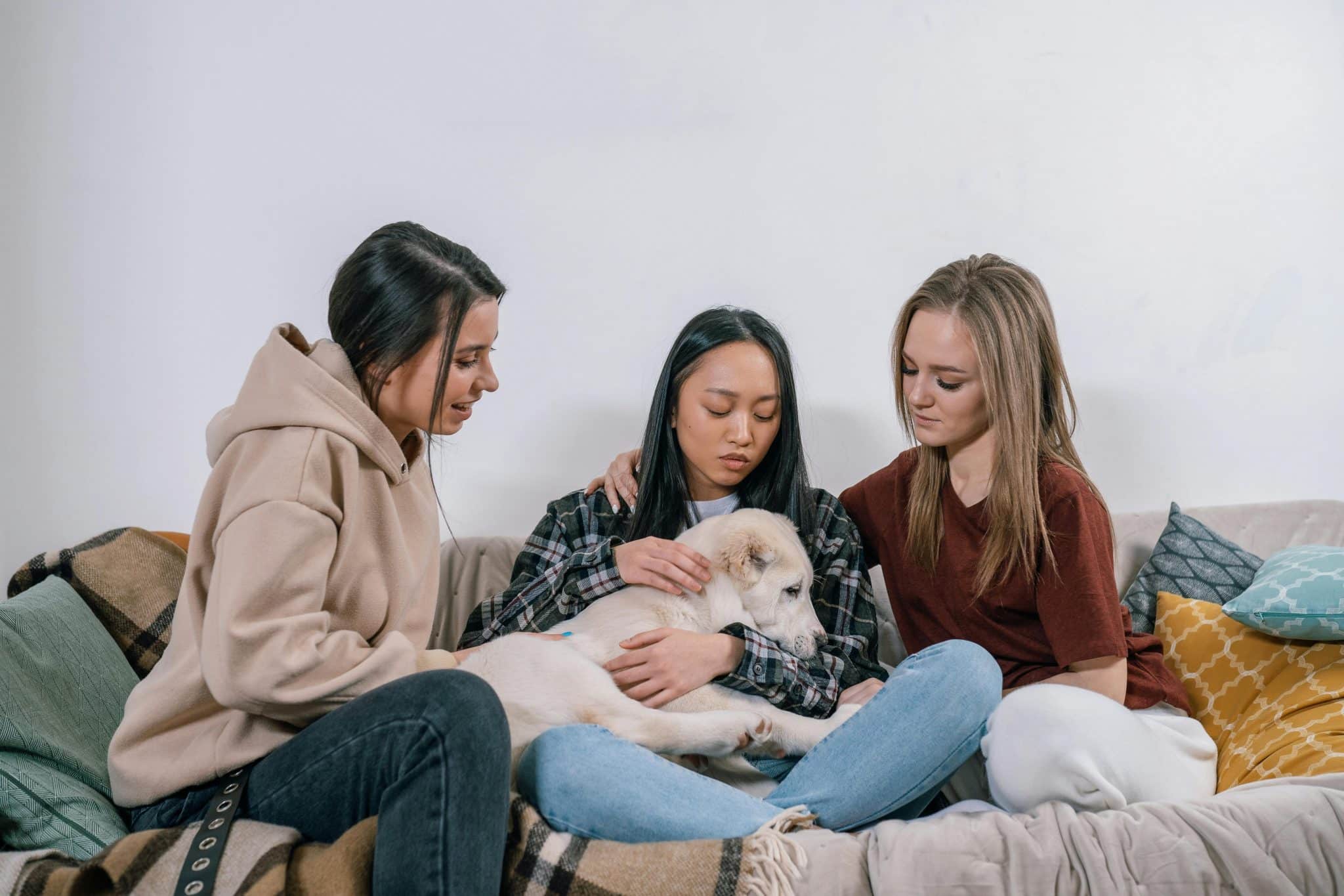 15 Ways Dogs Bring Joy And Love Into Every Moment Of Our Lives ...