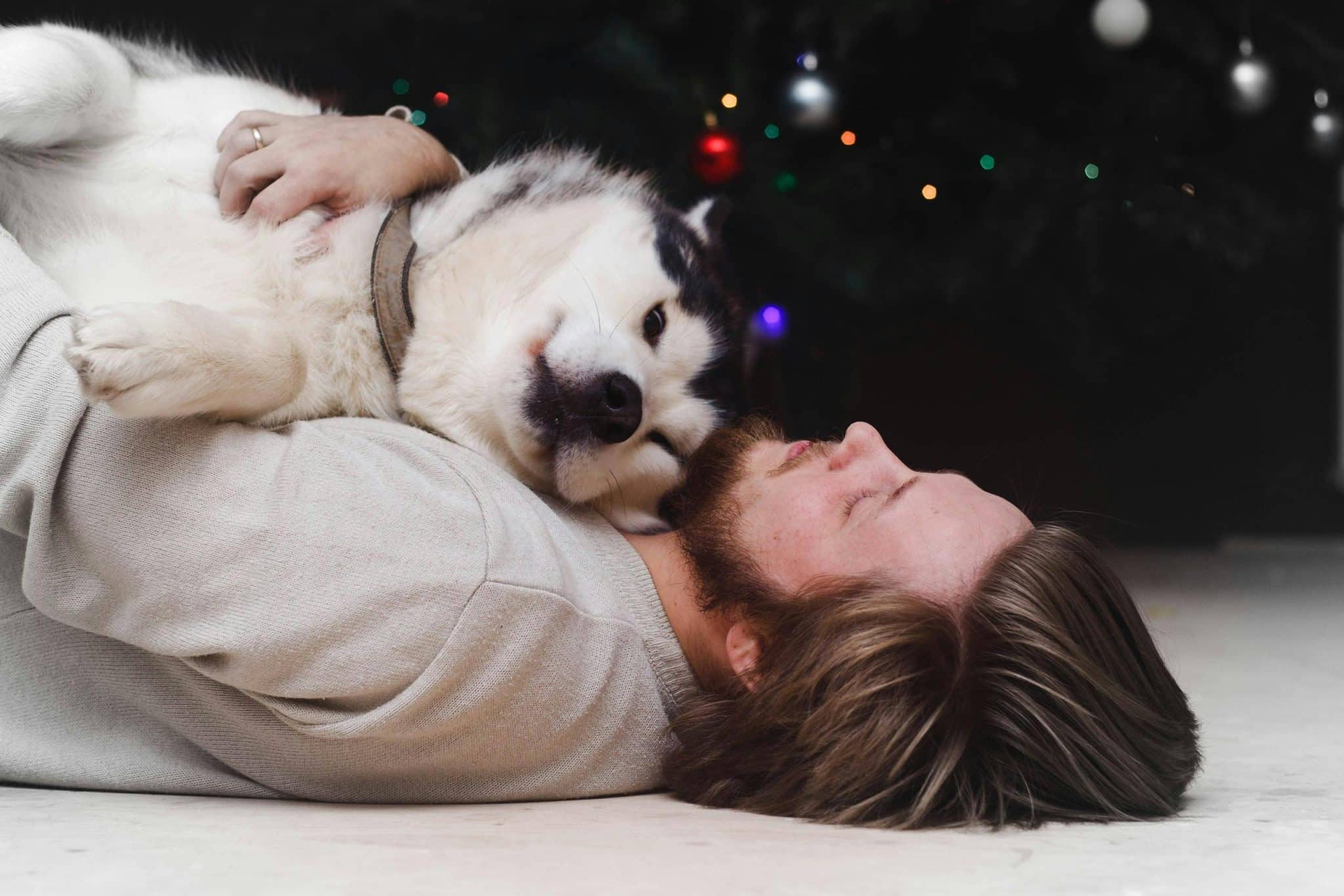 11 Things Dogs Do That Prove Their Loyalty Is Unmatched