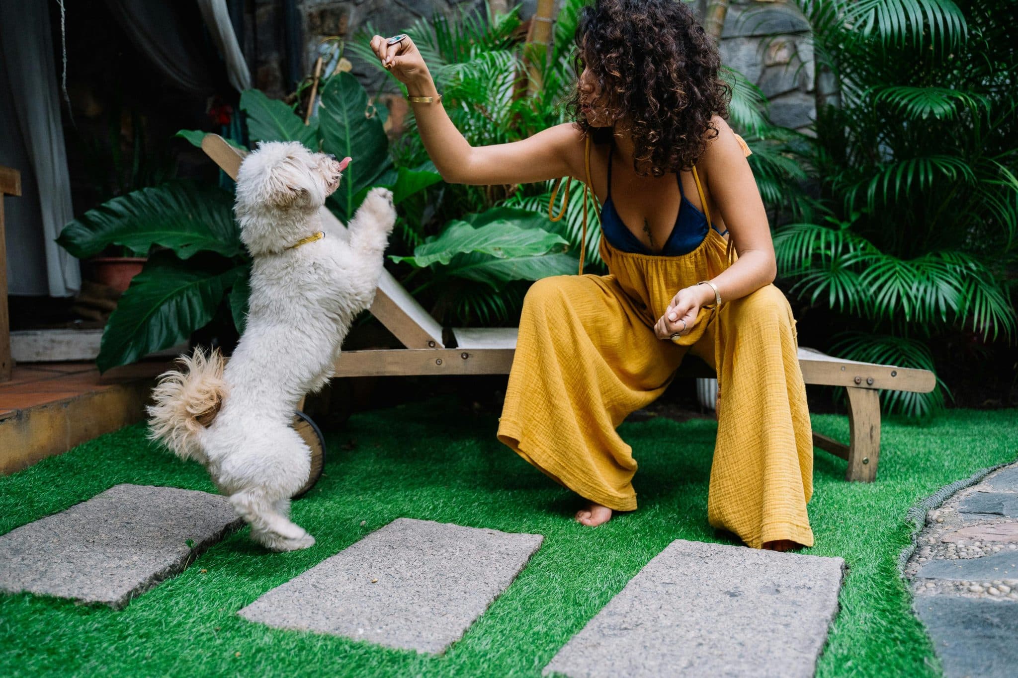 13 Eye-Opening Facts About How Smart Dogs Really Are - iHeartDogs.com