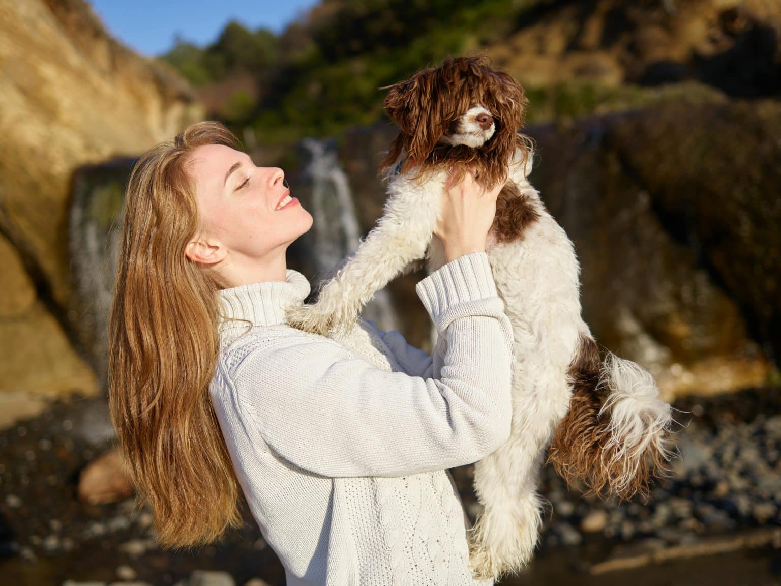 13 Fascinating Things Dogs Do That Show Their Incredible Instincts ...