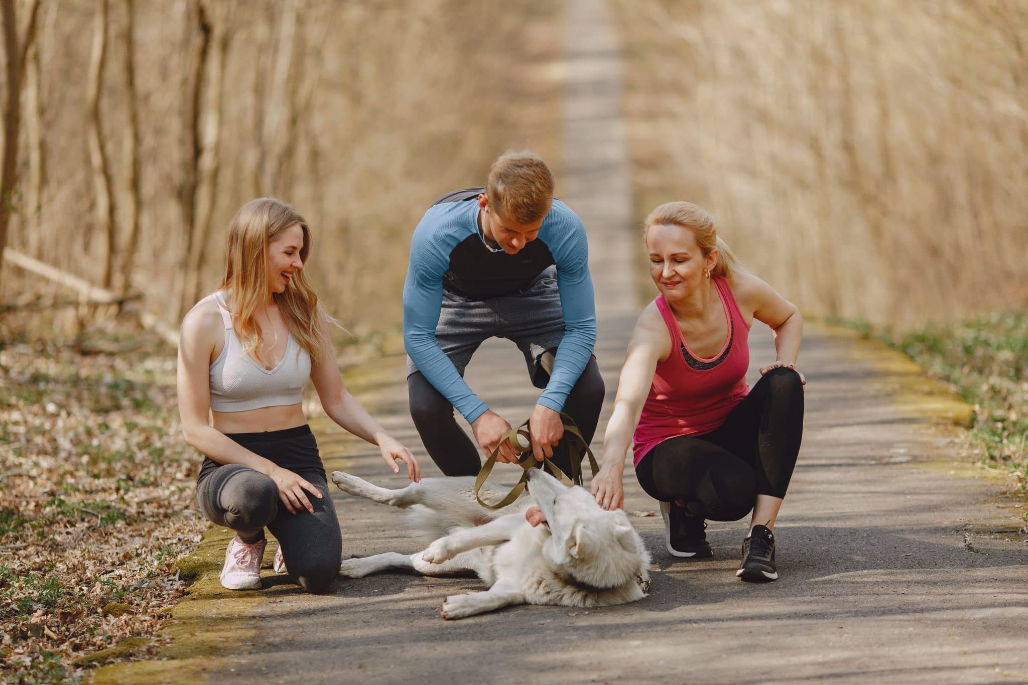 15 Secrets Dog Trainers Wish Every Dog Owner Knew - iHeartDogs.com