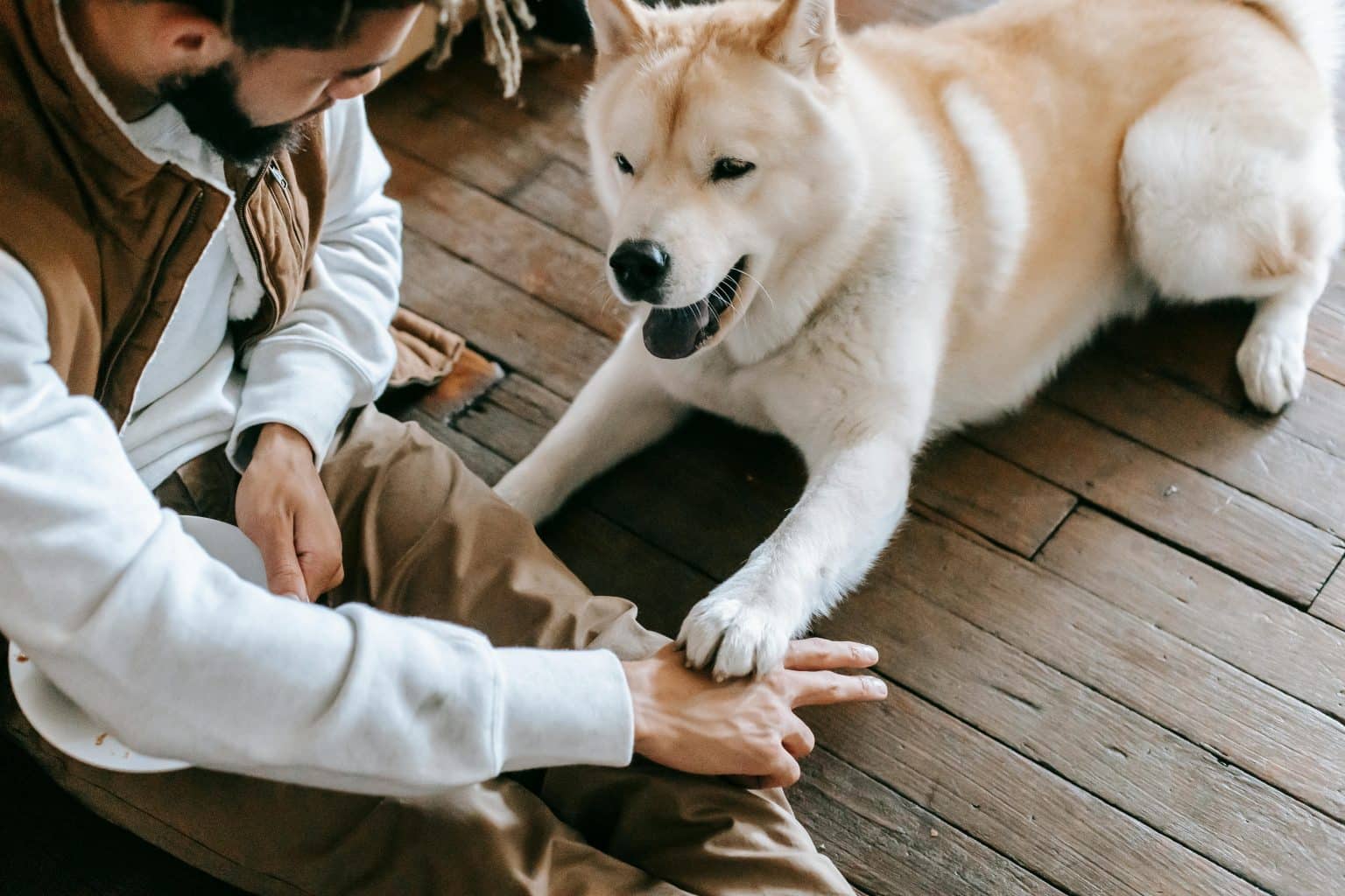 15 Secrets Dog Trainers Wish Every Dog Owner Knew - iHeartDogs.com