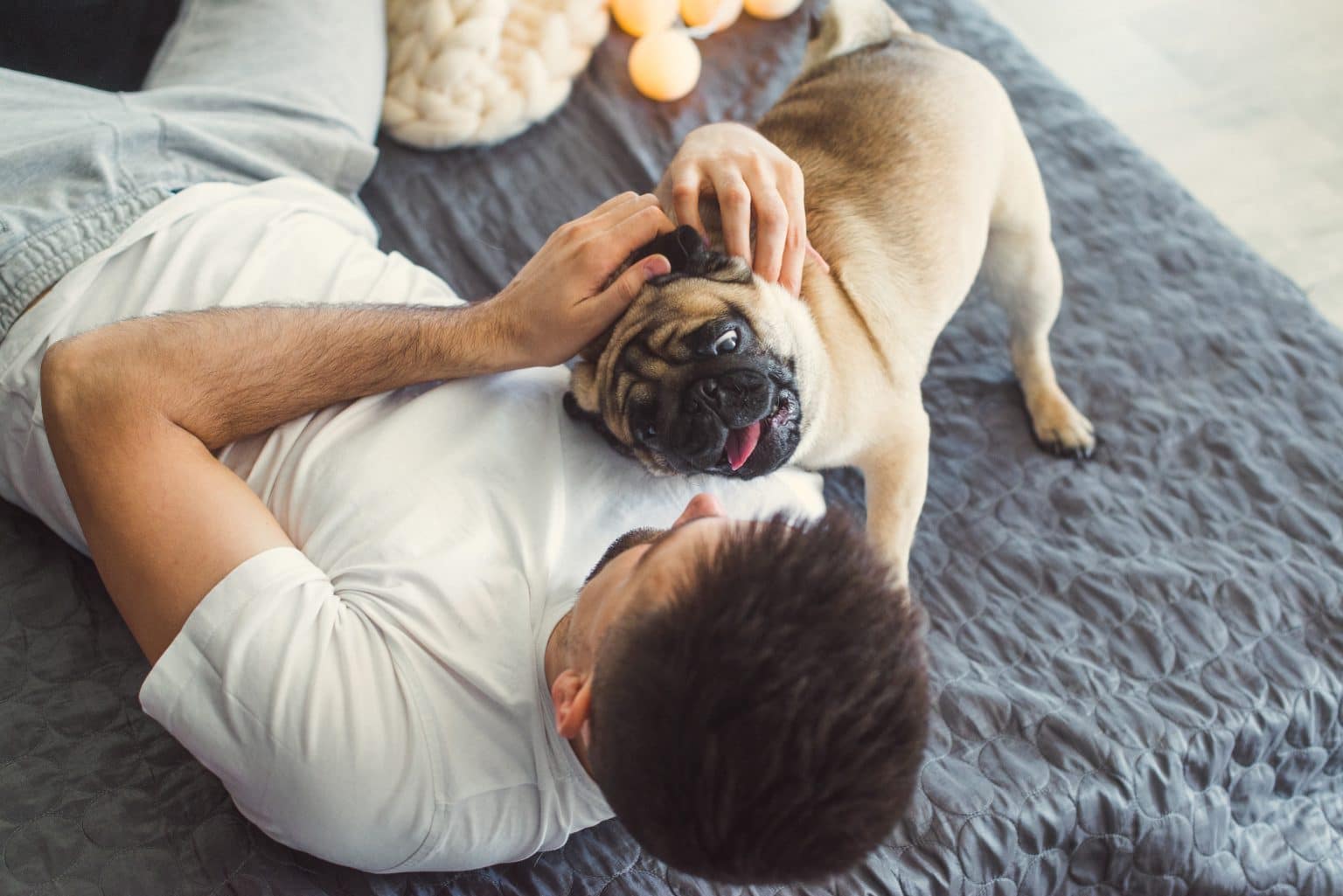 15 Ways Dogs Bring Joy And Love Into Every Moment Of Our Lives ...