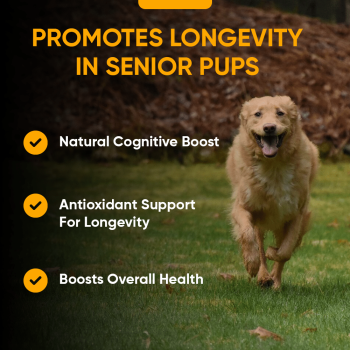 Senior Super 7 Daily MegaVitamin For Dogs 7-In-1 Antioxidant Anti-Aging ...