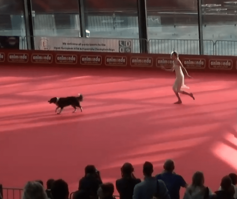 Dog Dances in Perfect Sync, Then Wows the Crowd with Freestyle Moves ...