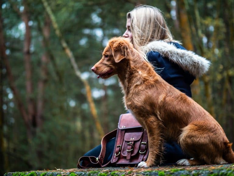 15 Beautiful Reasons The Bond Between Humans And Dogs Is Unique ...