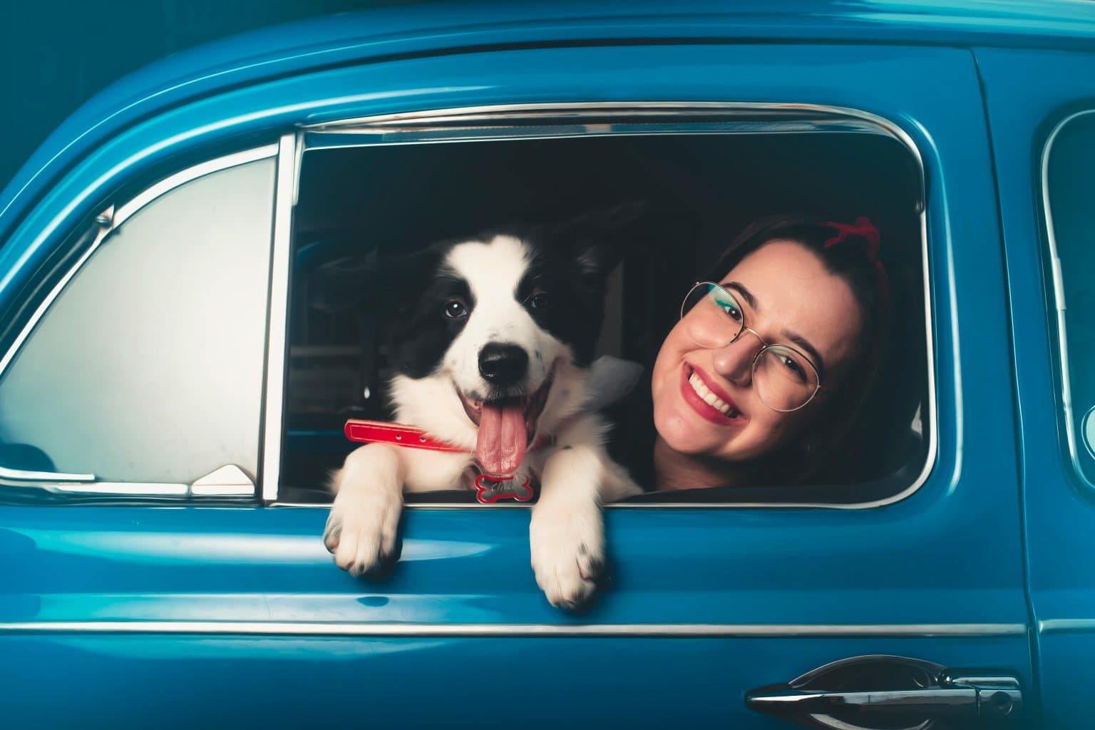 11 Ways Dogs Keep Us Healthy, Happy, and Active - iHeartDogs.com